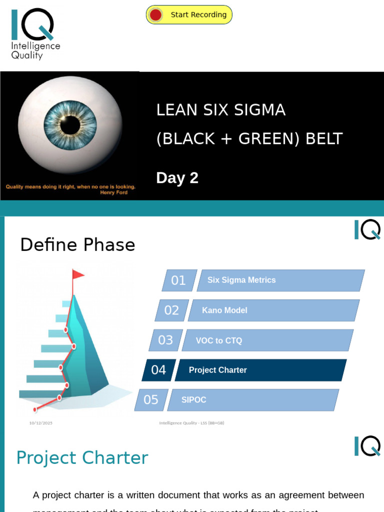 Lean Six Sigma Project Charter Guide | PDF | Sampling (Statistics ...
