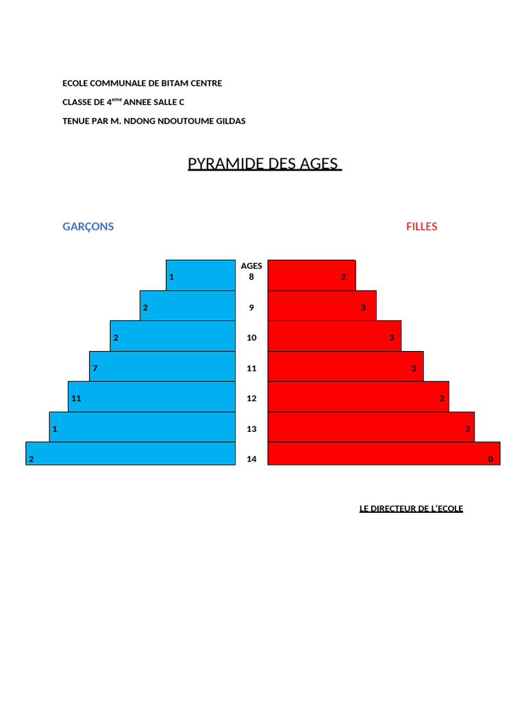 Pyramide des âges des élèves de 4ème | PDF