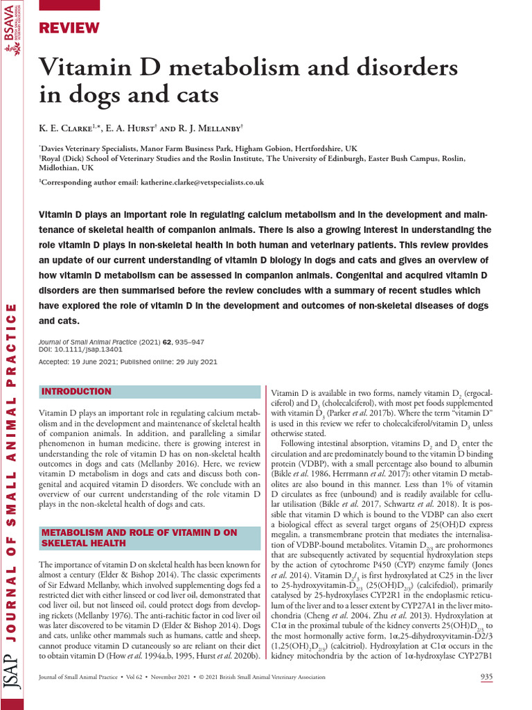 J of Small Animal Practice - 2021 - Clarke - Vitamin D Metabolism and ...