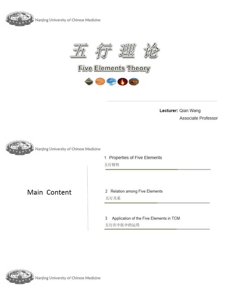 Five Elements in TCM Diagnosis and Treatment | PDF | Traditional ...