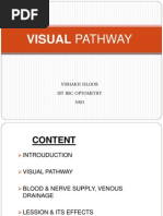 Visual Pathway | PDF | Visual System | Cerebral Cortex