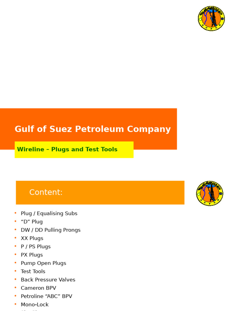 Gulf of Suez Wireline Plugs & Tools Guide | PDF | Mechanical Engineering