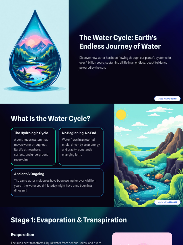 The Water Cycle Earths Endless Journey of Water | PDF | Water | Water Cycle