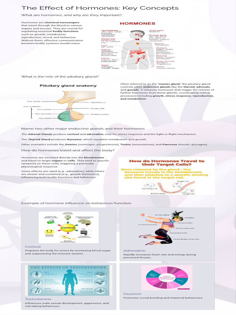 Understanding Hormones and Their Functions | PDF | Hormone | Glands