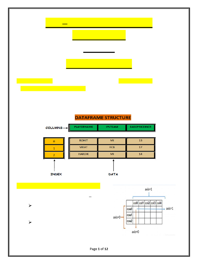 Python Pandas DataFrame Guide | PDF | Comma Separated Values | Computer ...