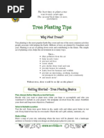 Anywhere Farm Teacher Tip Card | PDF | Seed | Horticulture And Gardening