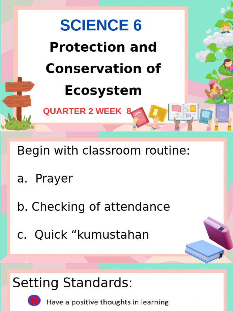 Cot Science 6 Q2 W8 | PDF | Coast | Mangrove
