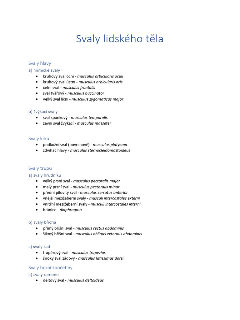 Svaly Lidského Těla | PDF