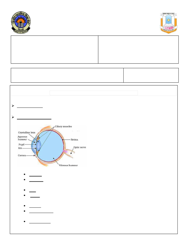 Class X Human Eye Ho | PDF | Sunset | Eye