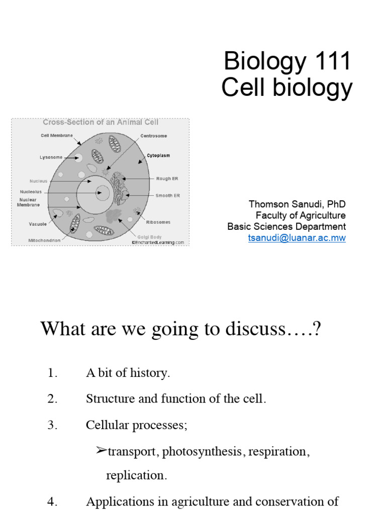 Biology - Cell | PDF | Meiosis | Cellular Respiration