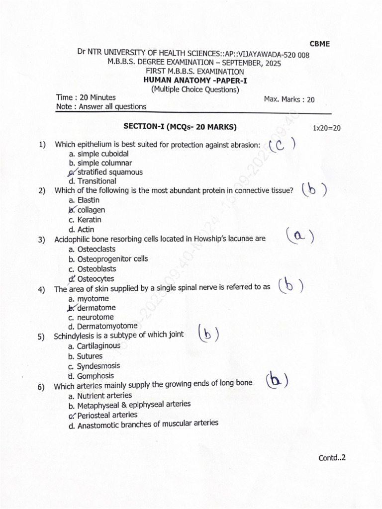 Anatomy Paper - 1 MCQ Key | PDF