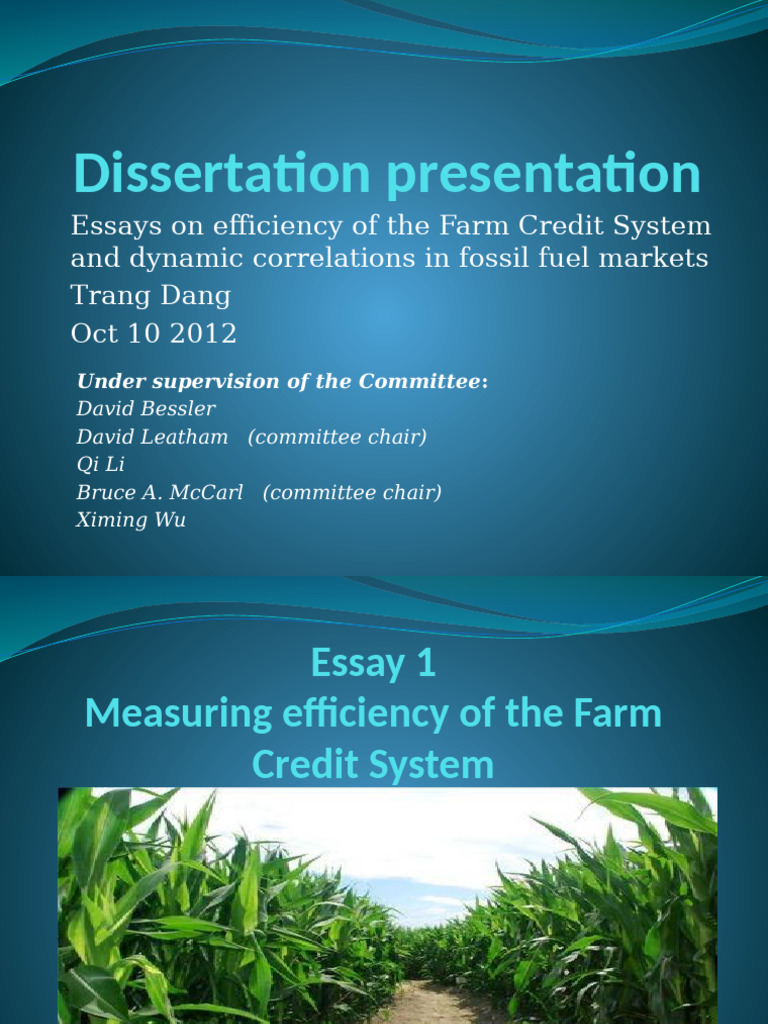 Trang Dang Dissertation Presentation | PDF | Hedge (Finance) | Chi ...