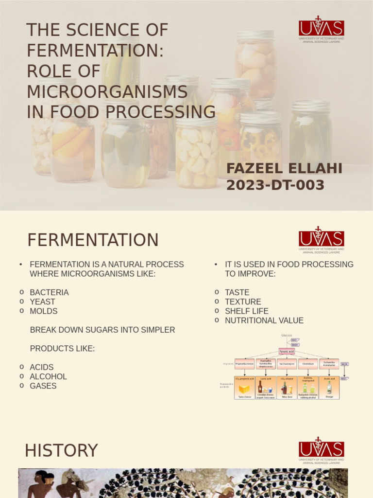 The Science of Fermentation | PDF | Fermentation | Fermentation In Food ...