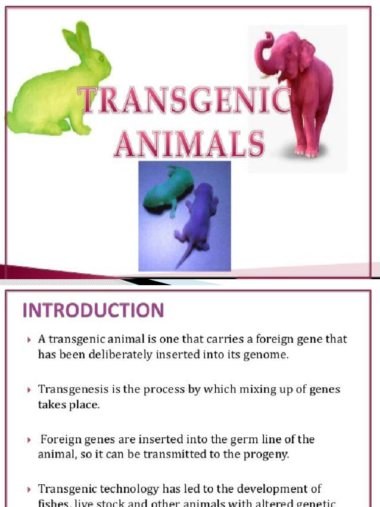 Transgenic Animals | PDF