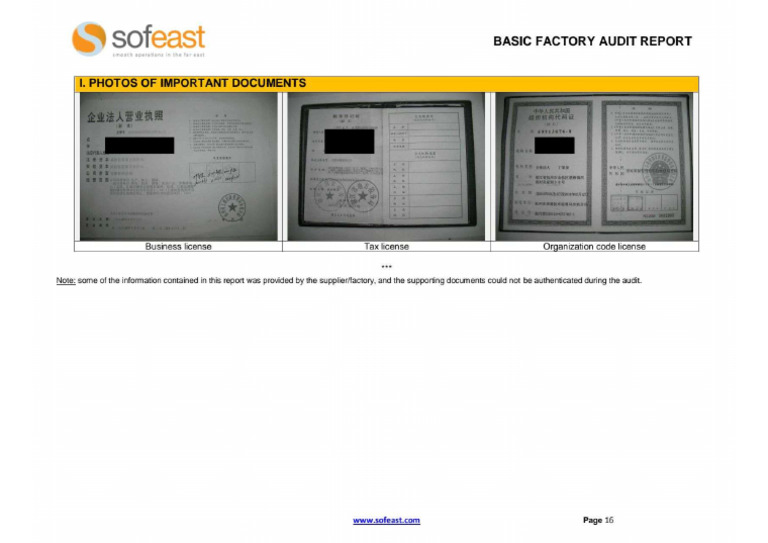 BFA Report Sample Br6 | PDF