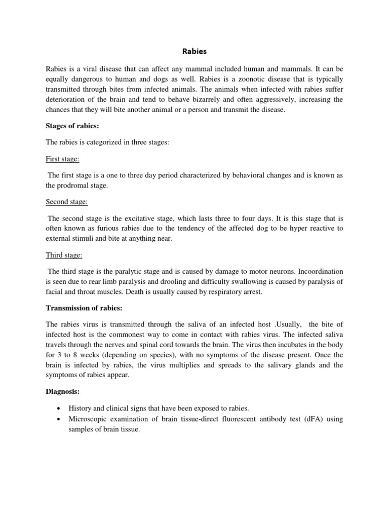 Rabies | PDF | Rabies | Infection