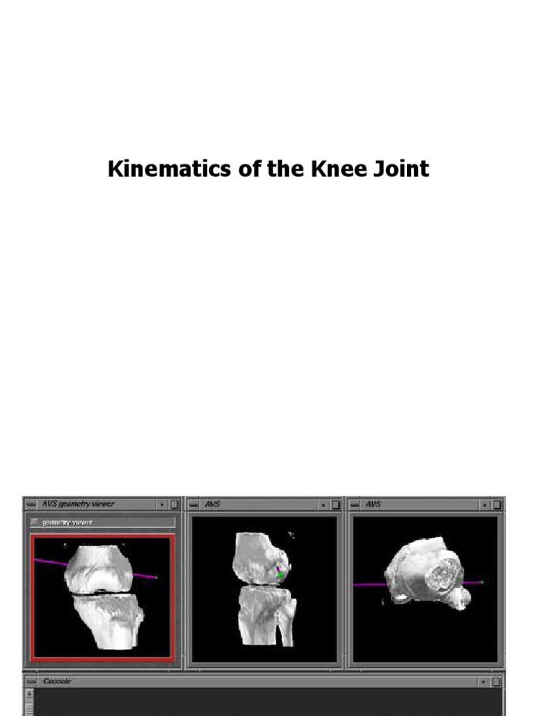 Kinematics of Knee Joint | Knee | Musculoskeletal System