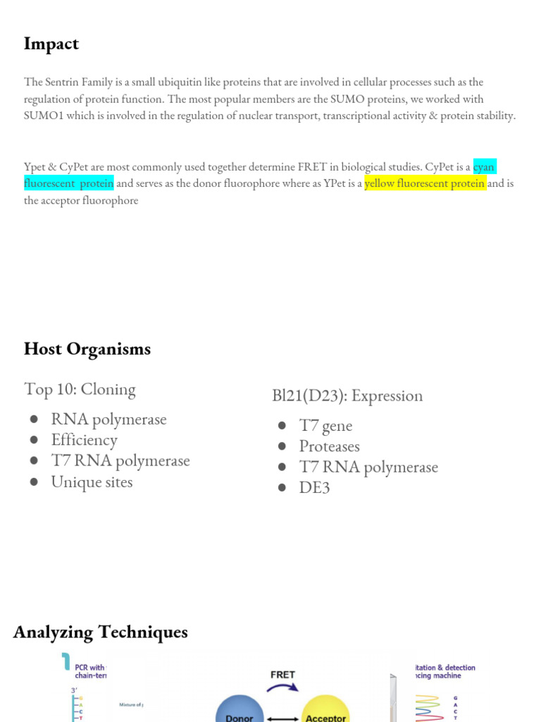 Biotechnology Lab Fret Analysis | PDF | Proteins | Gene Expression