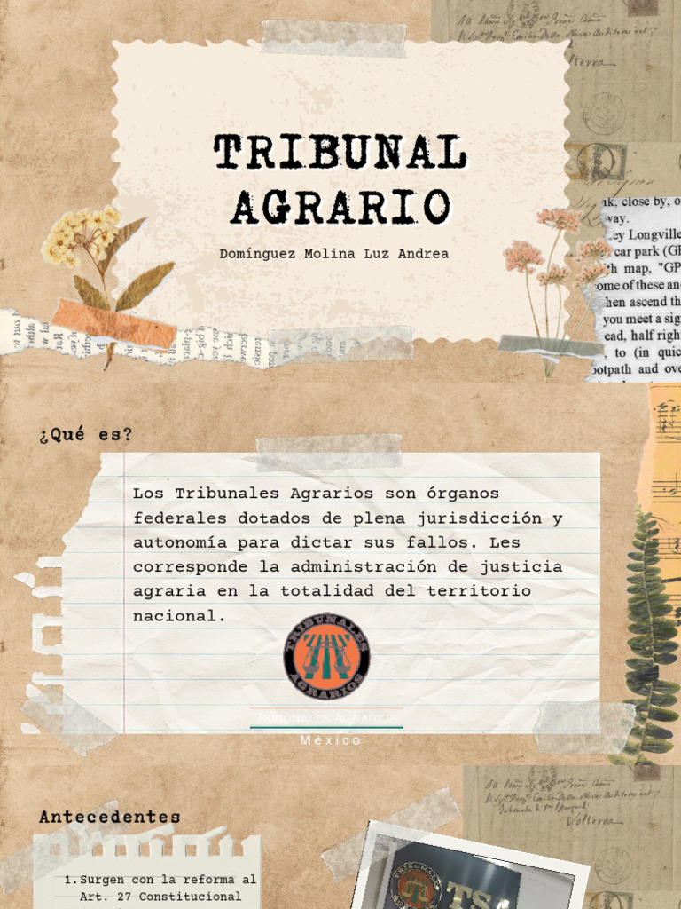 Estructura y Funciones de los Tribunales Agrarios | PDF | Judicaturas ...