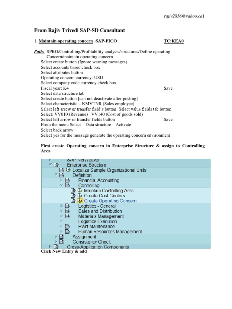 SAP Operating Concern Setup Guide | PDF | Revenue | Computing