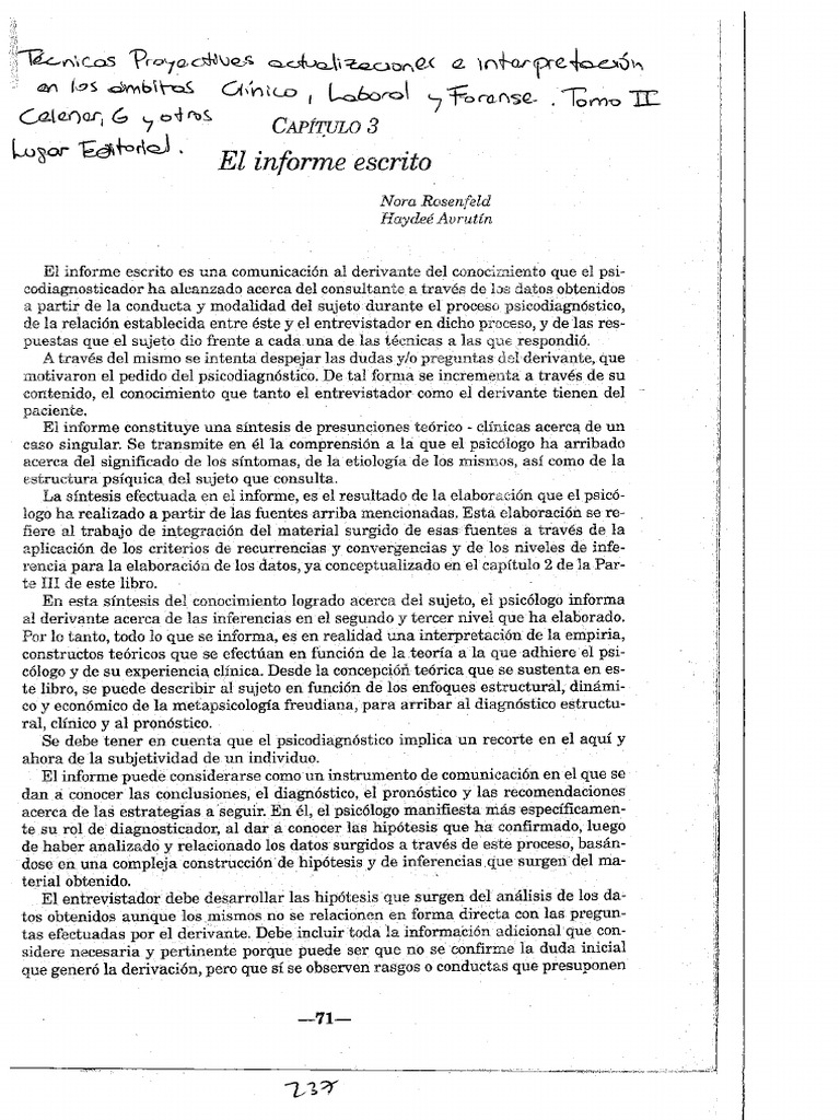 6.2 El Informe Escrito | PDF