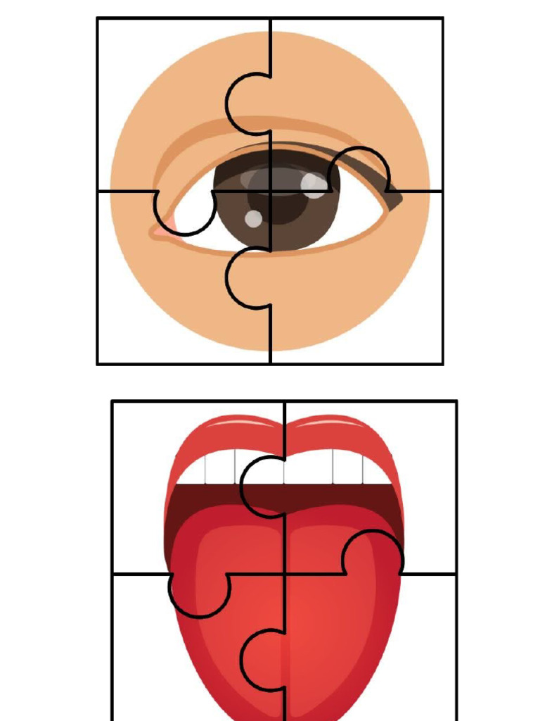 5 Senses Puzzle | PDF