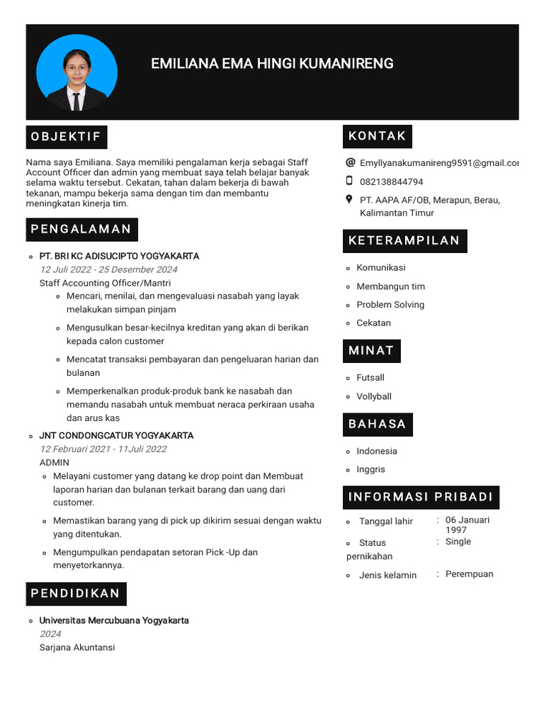 Profil Emiliana: Akuntansi & Admin | PDF