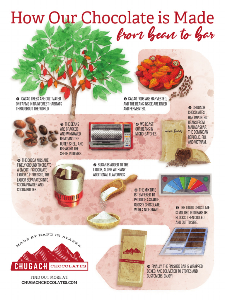How Chocolate Is Made by Chugach Chocolates | PDF | Chocolate | Cocoa Bean