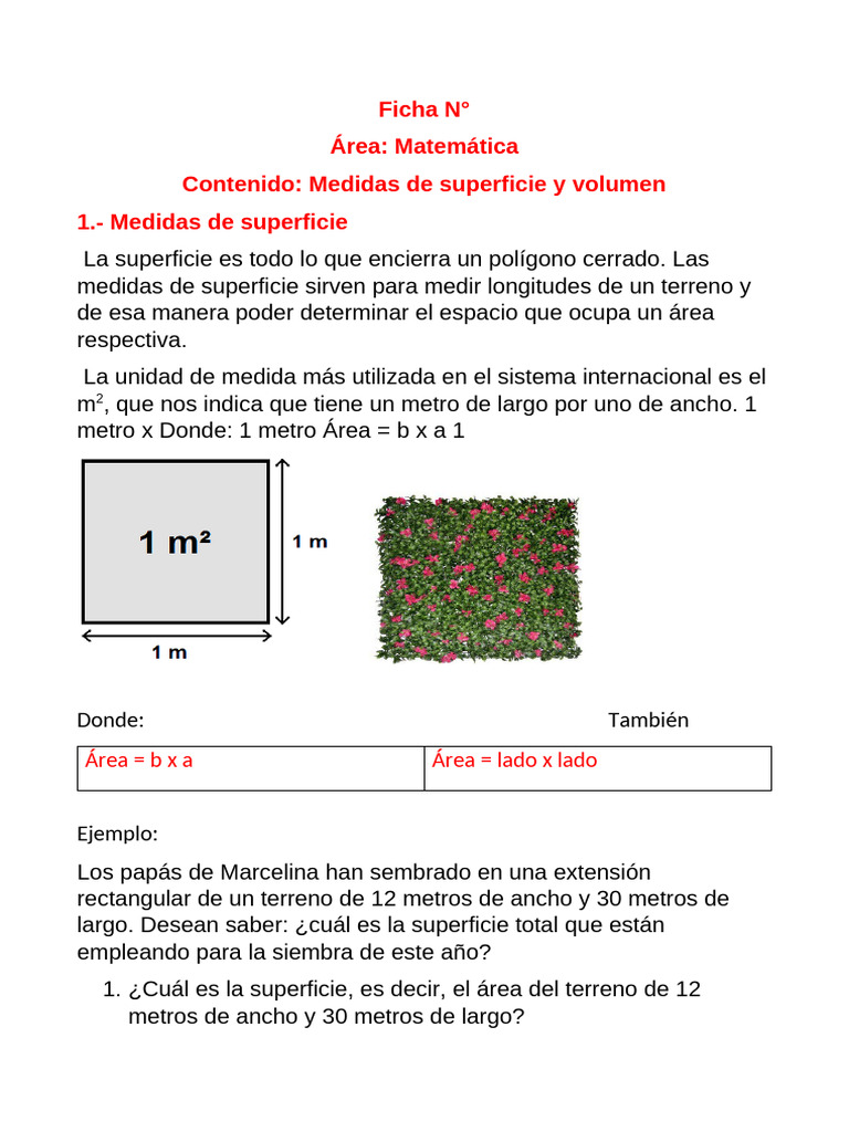 Medidas de Superficie y Volumen | PDF | Volumen
