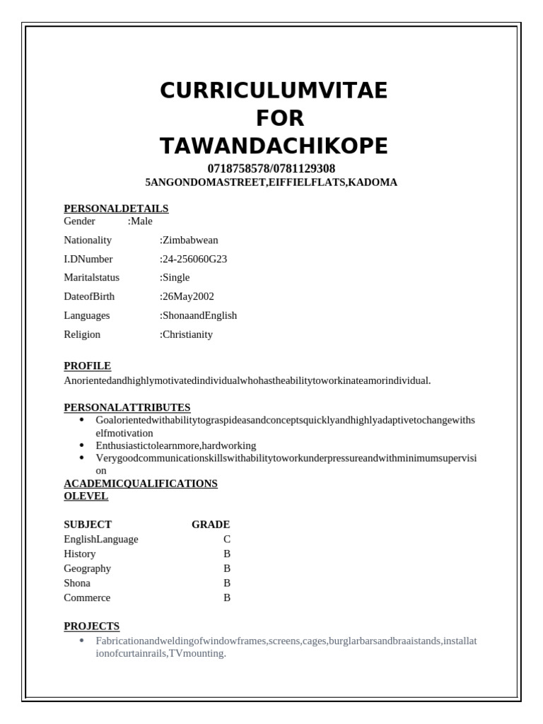.Tawanda CV - 1737107677533 | PDF