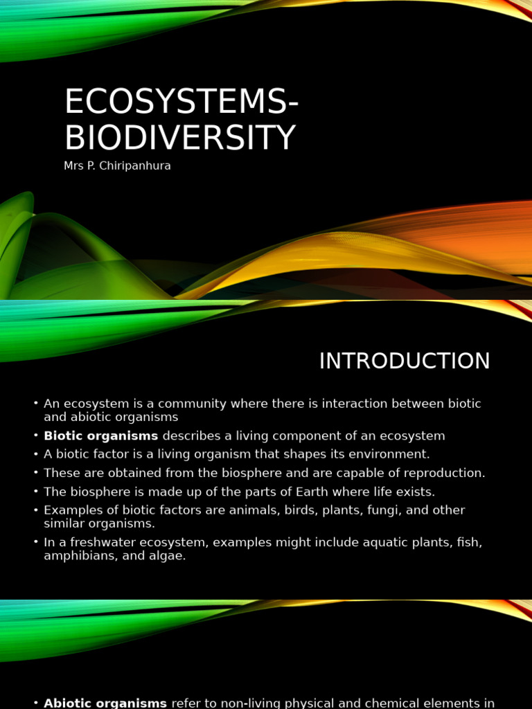Understanding Ecosystems and Biodiversity | PDF