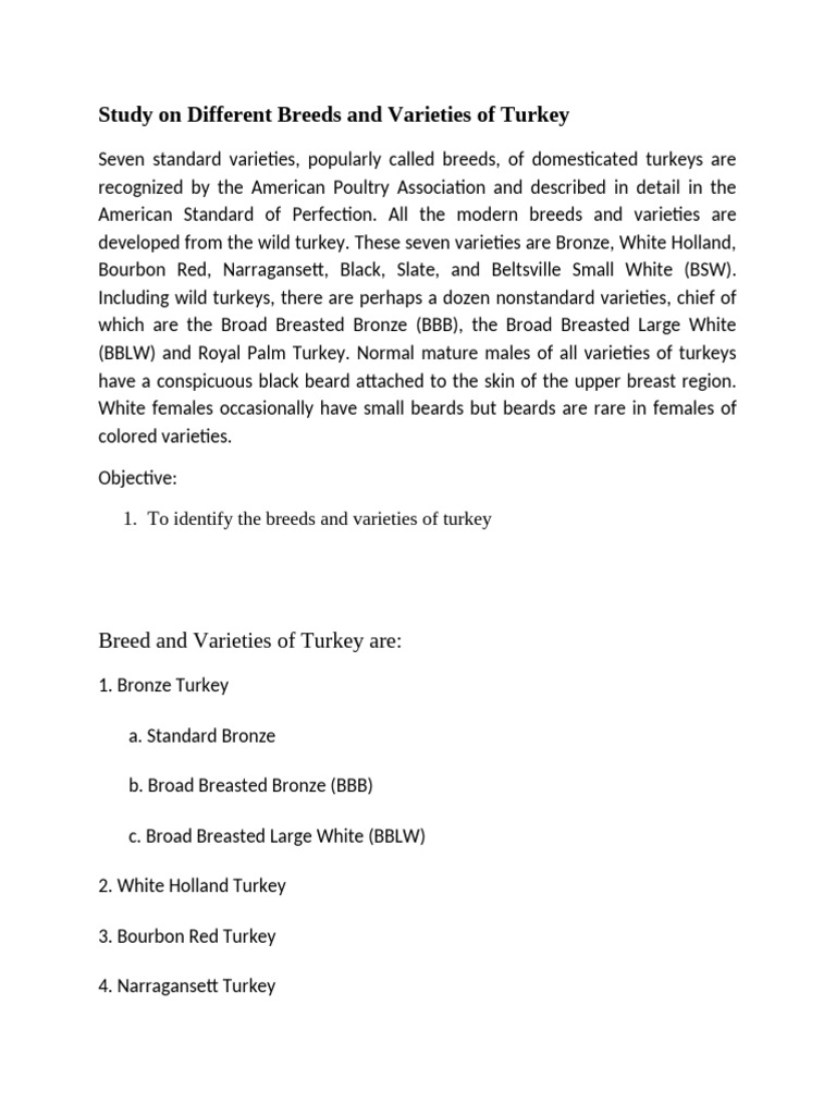 Overview of Turkey Breeds and Varieties | PDF | Ornithology | Livestock