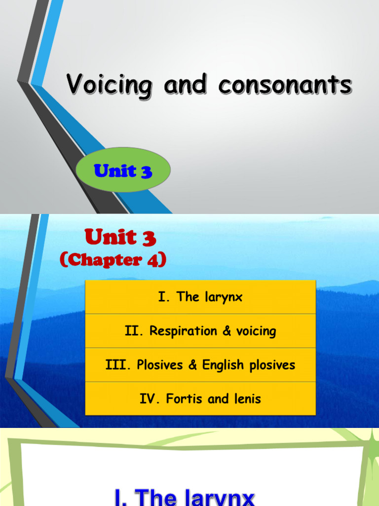 Understanding Voicing and Consonants | PDF | Larynx | Linguistics