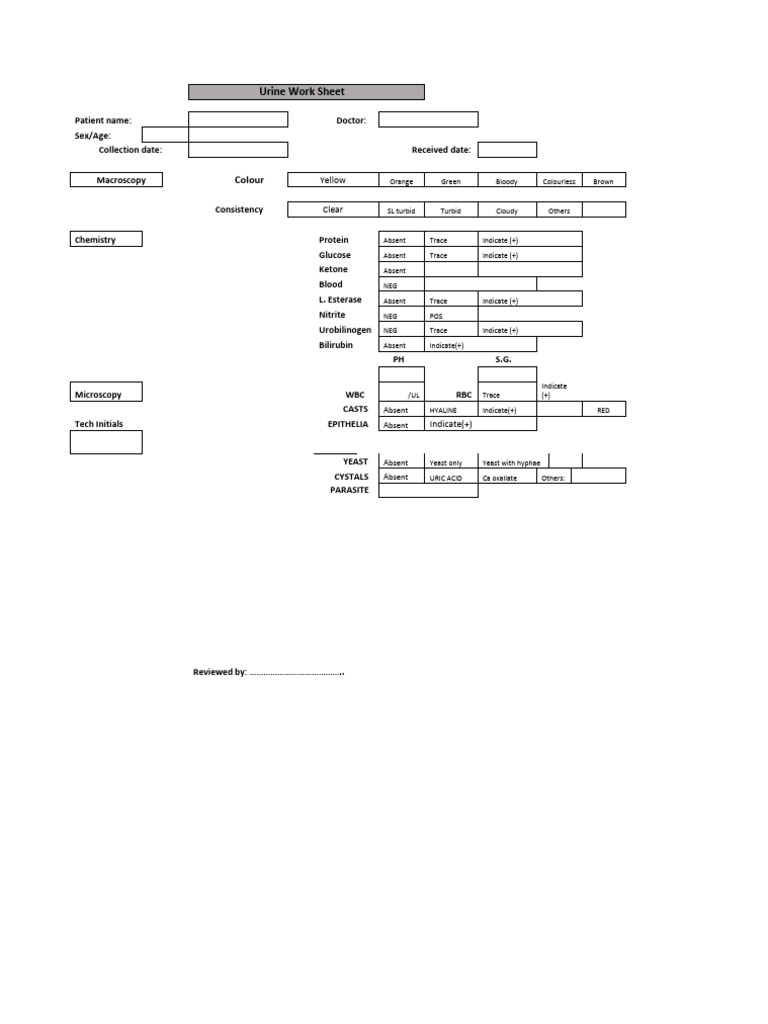 Urine Microscopic Findings Report | PDF