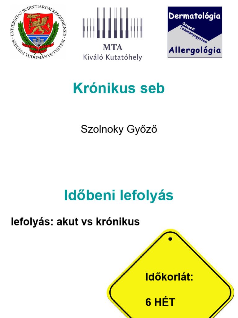 23 Krónikus Seb.2025 | PDF