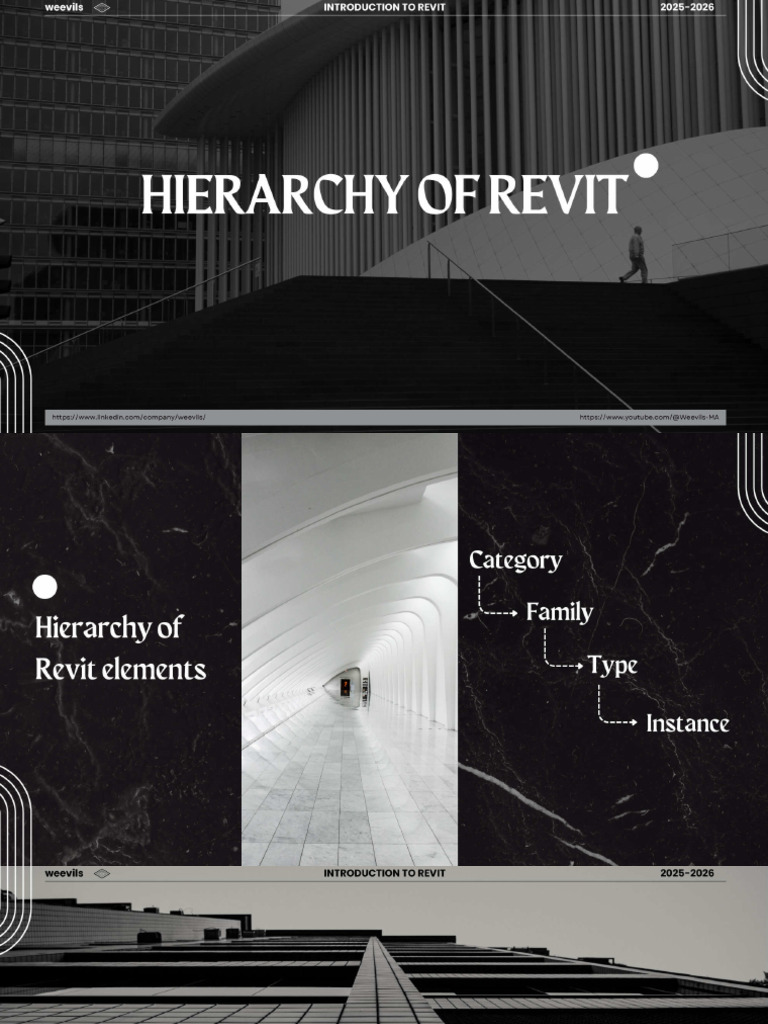 Weevils - Hierarchy of Revit | PDF