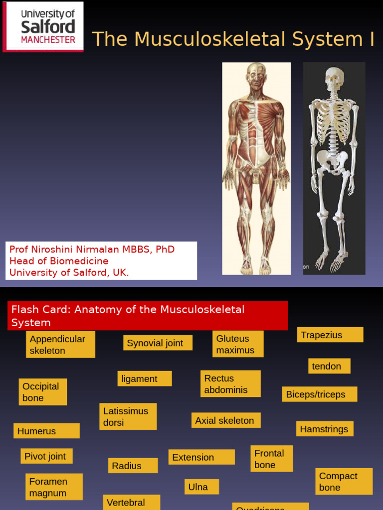 Anatomy of The Musculoskeletal System 1 2020-21 Prof Niroshini Nirmalan ...