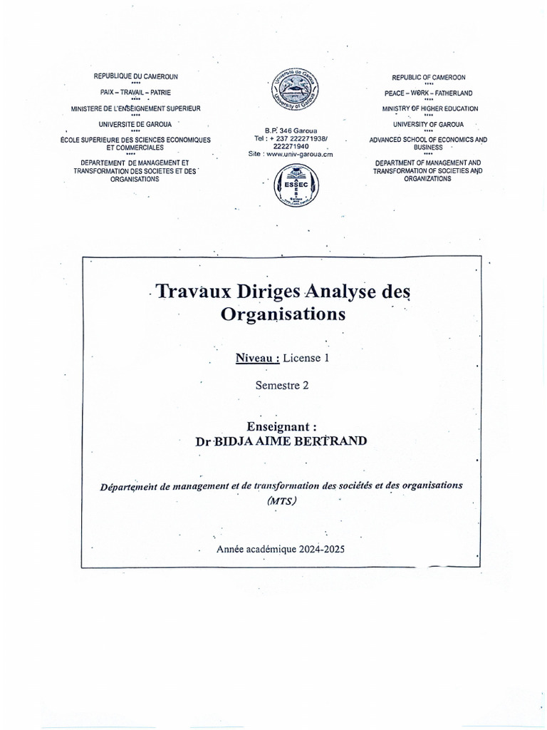 Travaux Dirigés Analyse Des Organisations | PDF