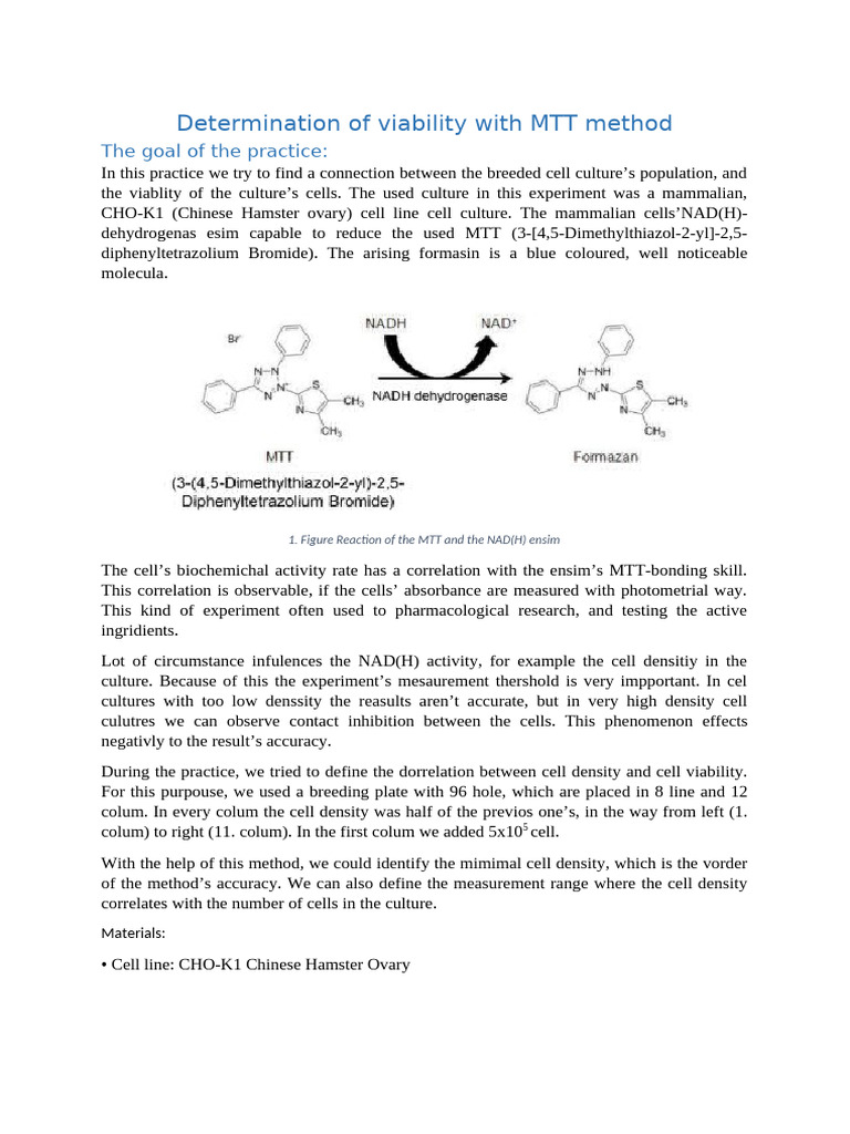 MTT Assay for Cell Viability Calculation | PDF