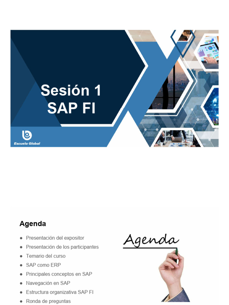 Sesión 1 - SAP FI | PDF