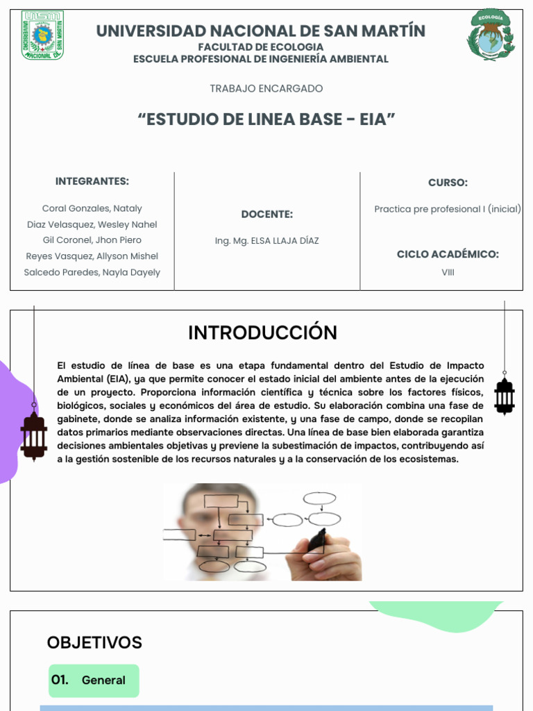 Estudio de Línea Base en EIA: Guía Completa | PDF | Evaluación de ...