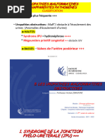 Syndrome de la Jonction Pyelo-Uréterale | PDF | Rein | Spécialités ...