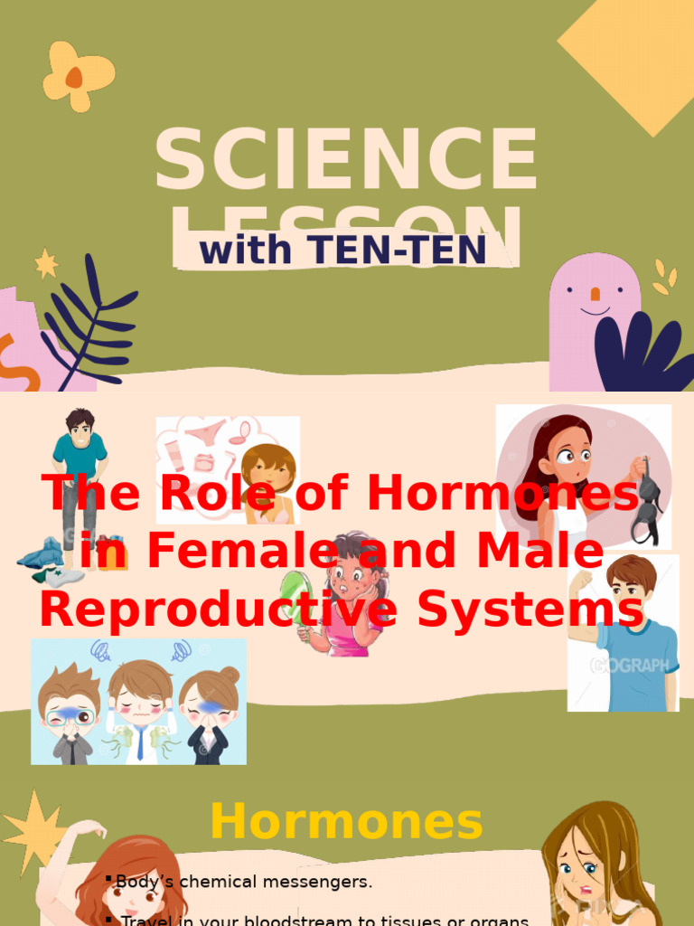 Hormones in Reproductive Systems Explained | PDF | Luteinizing Hormone ...