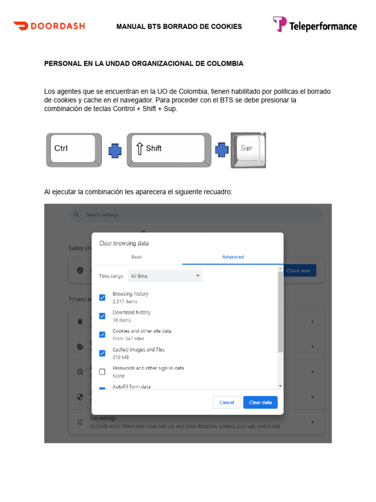 Manual Bts Borrado de Cookies DD Col-Per-1 | PDF | Cookie HTTP | Interfaces gráficas de usuario