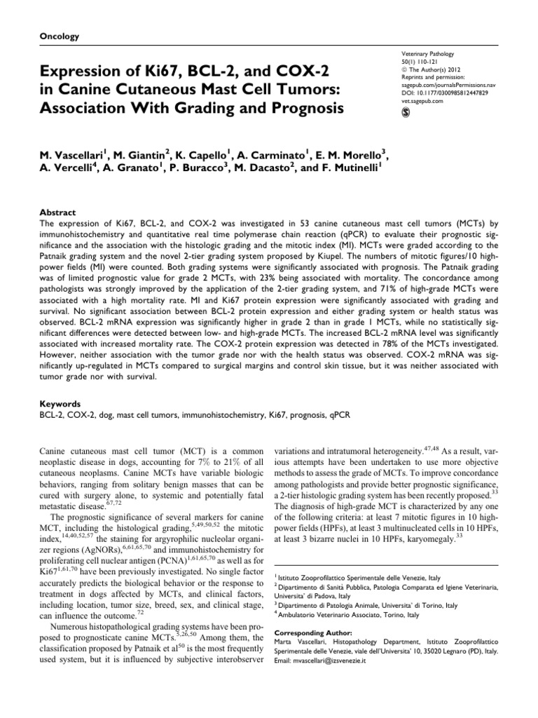 VASCELLARI Vet Pathol 2013 Vascellari 110 21 | PDF | Bcl 2 ...