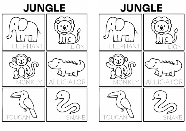 Jungle Animals | PDF