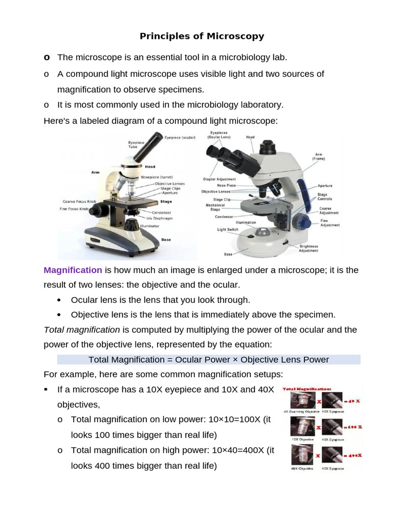 Microscopy Basics: Using a Compound Microscope | PDF | Electromagnetic ...