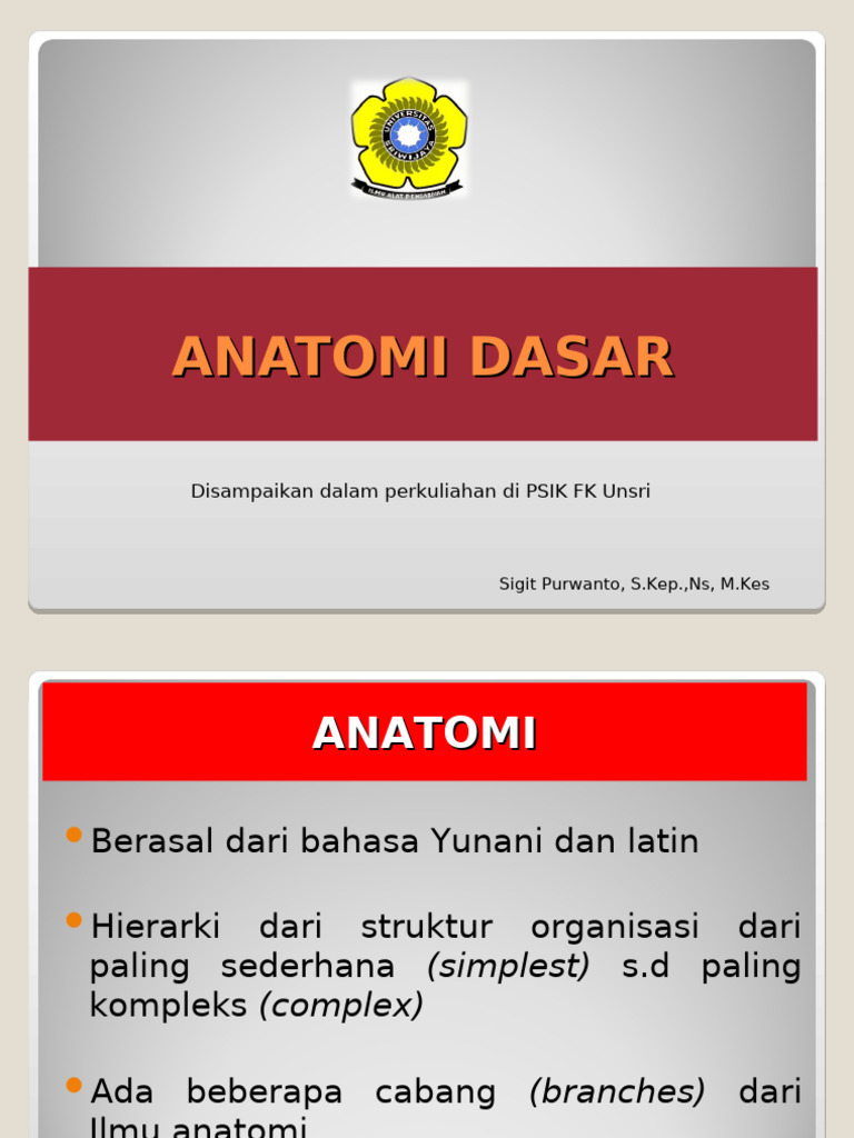 01 Anatomi Dasar Basic Human | PDF | Anatomical Terms Of Location | Anatomy