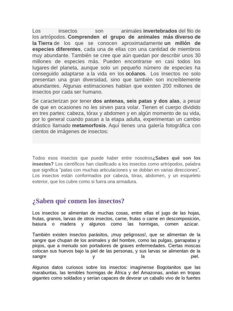 Diversidad y características de los insectos | PDF | Insectos | Zoología
