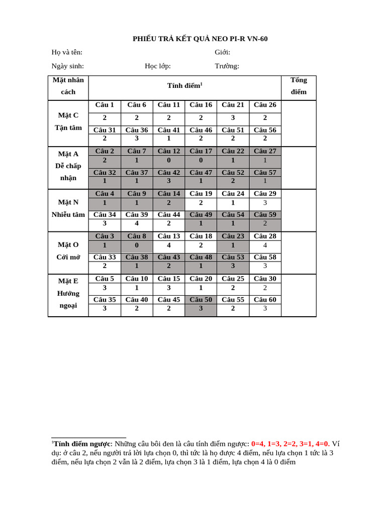 Phieu Tra Ket Qua NEO-PI-R - Thúy | PDF